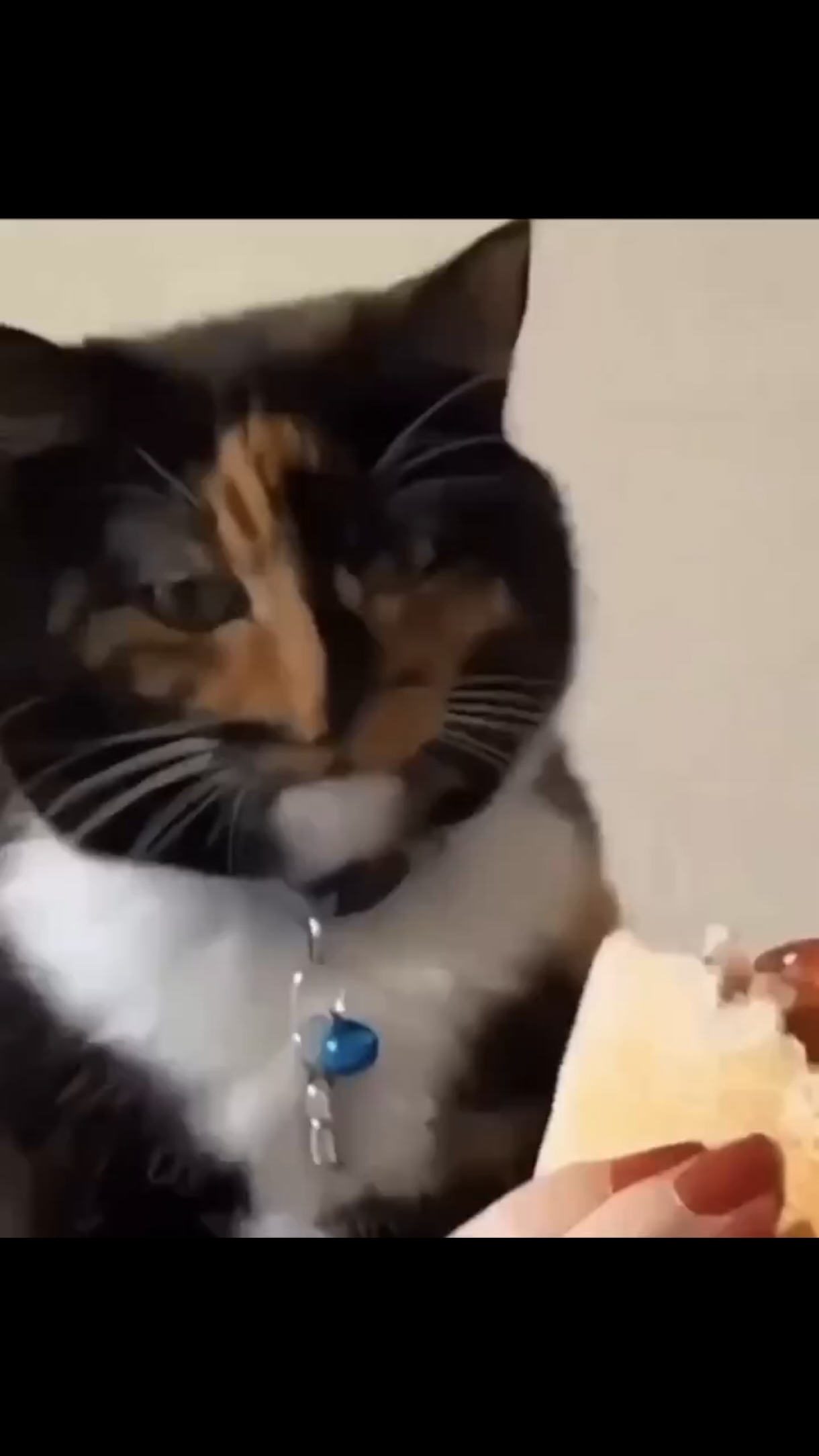 А я чего? Я ничего 😼
