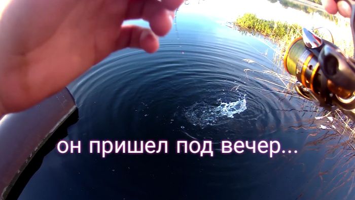 Нежданный гость пришел под вечер.. Рыбалка на мормышку.
