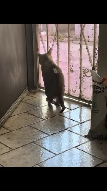 WTF!?
