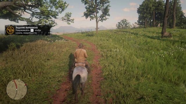 Red Dead Redemption 2 . Прохождение 9