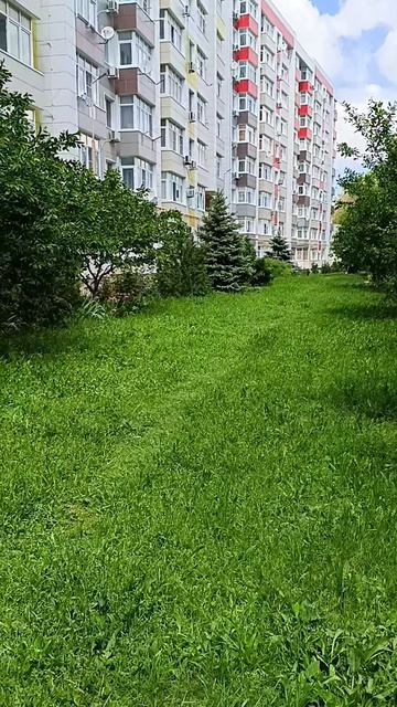 мы гуляем с Джелей