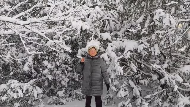 Зимняя сказка в Севастополе. 01.01.2026.