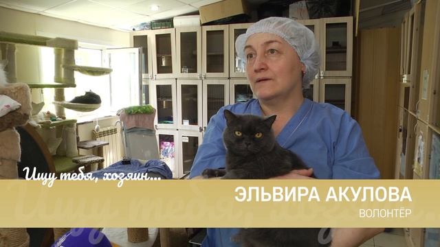 Ищу тебя, хозяин