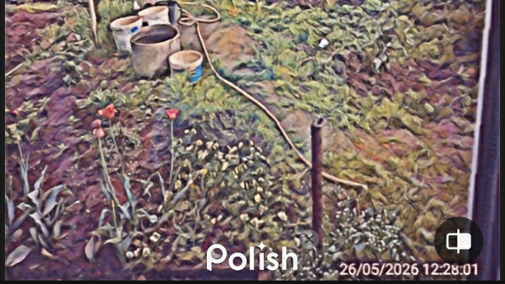 InShot_20260523_130711721.mp4