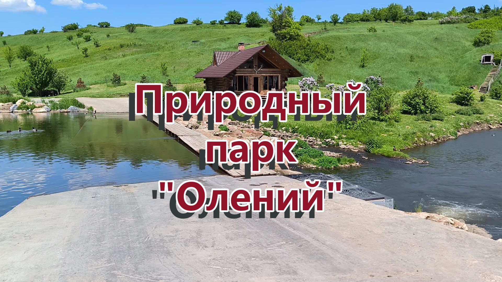 Заповедники / парки / леса
