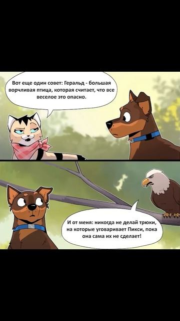 Советы от Пикси и Геральда) Пикси и Брут