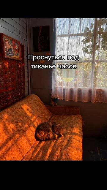 Моменты, когда жизнь ощущается по-другому, часть 7