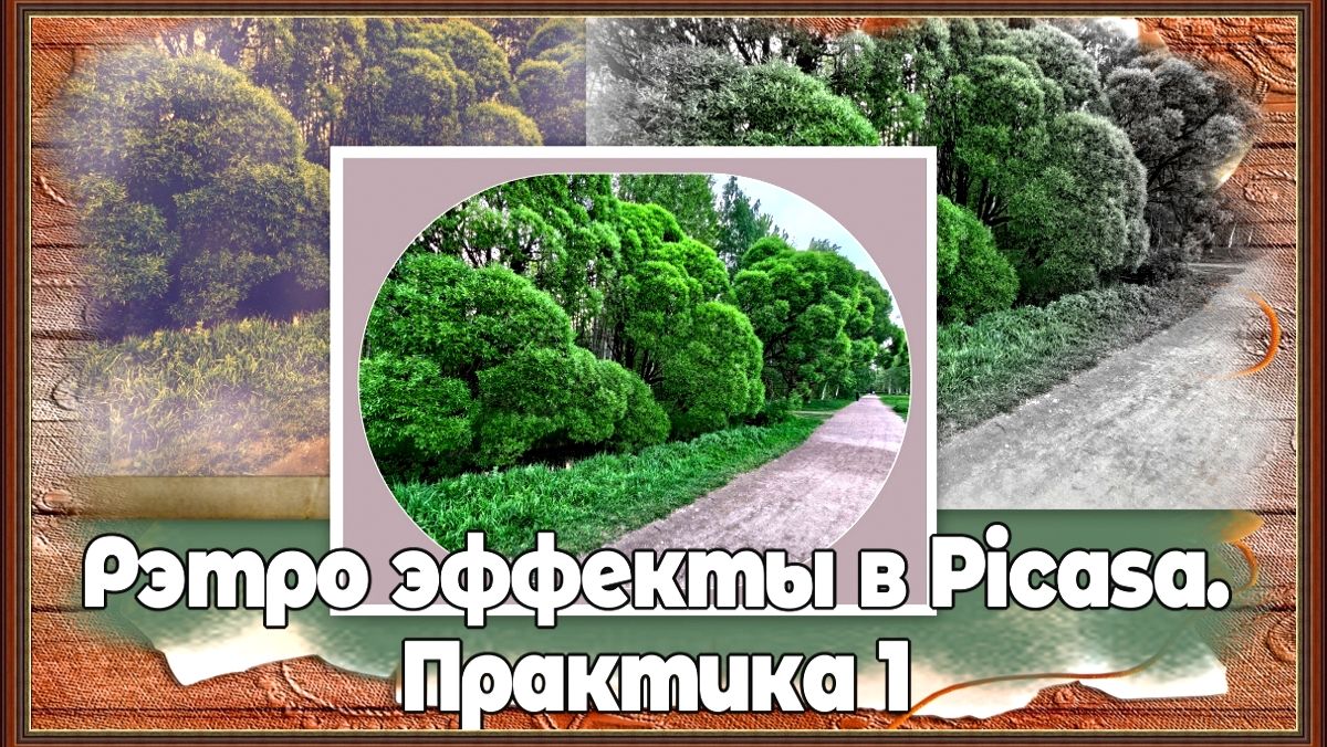 Ретро эффекты в программе Picasa  Практика 1