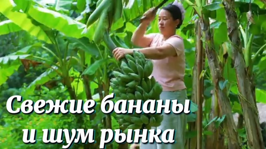 Свежие бананы и шум рынка — а день завершается мирно, в обществе животных