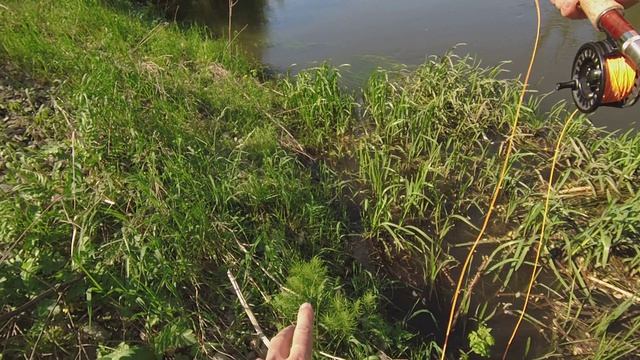Не вытерпел открылся по голавлику нахлыст