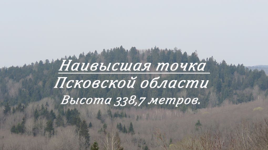 Высота 338,7 метров. Наивысшая точка Псковской области. Гора Липницкая