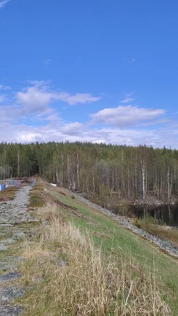Весна на Севере. Плотина на р.Пиренга 23-05-2026