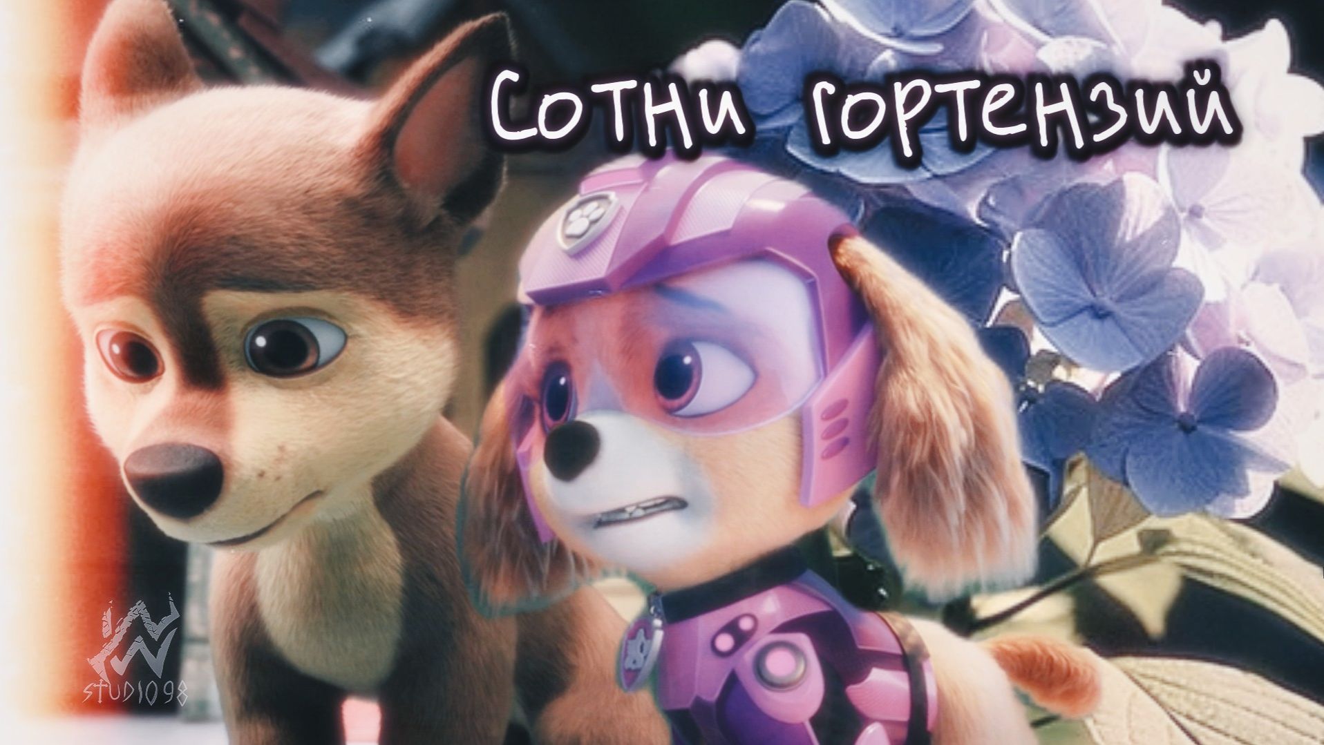 NWS98 ► ПРЕМЬЕРА КЛИПА! Гонщик и Скай //Три дня дождя – Сотни гортензий / Paw Patrol🖤2K