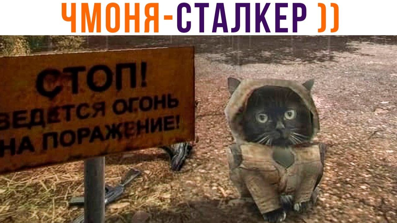 ✅ ЧМОНЯ ))) Игровые мемы