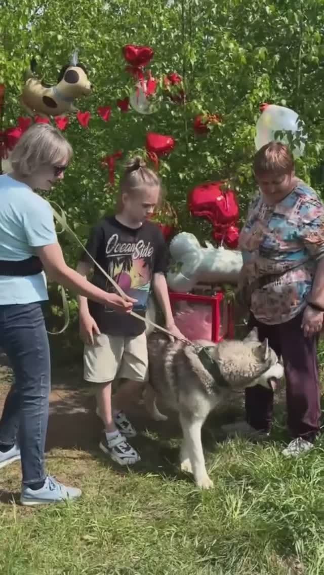 День открытых дверей состоялся ✨