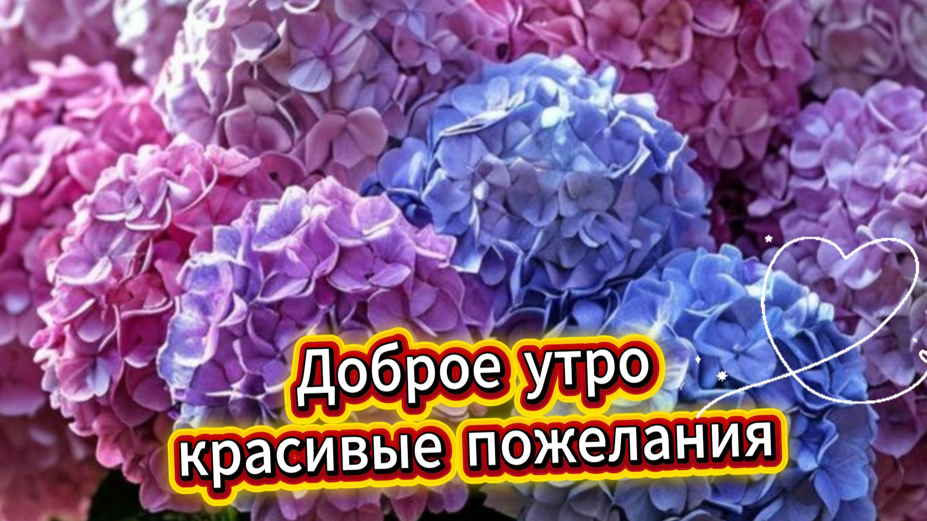 Доброе утро красивые пожелания – музыкальная открытка с душевными словами