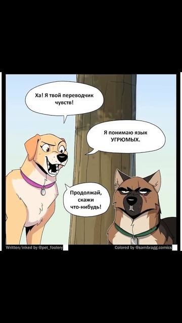 Переводчик Брута) Пикси и Брут