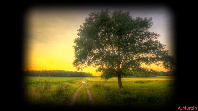 Angelo Taylor - Pulsations of the Light Part 2