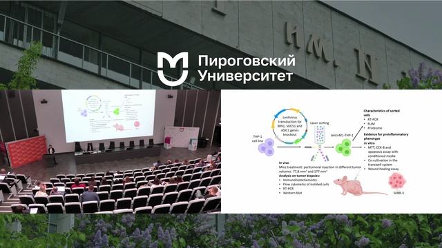 Генетическая модификация макрофагов как способ модуляции их фенотипа- Полина Александровна Вишнякова