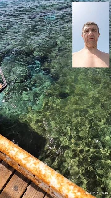 Каргыджак, в море на пирсе.