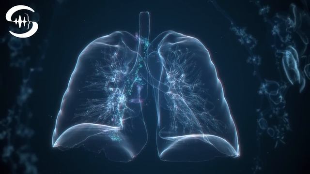 Частота очищения легких - Лечение респираторных заболеваний - Детоксикация легких