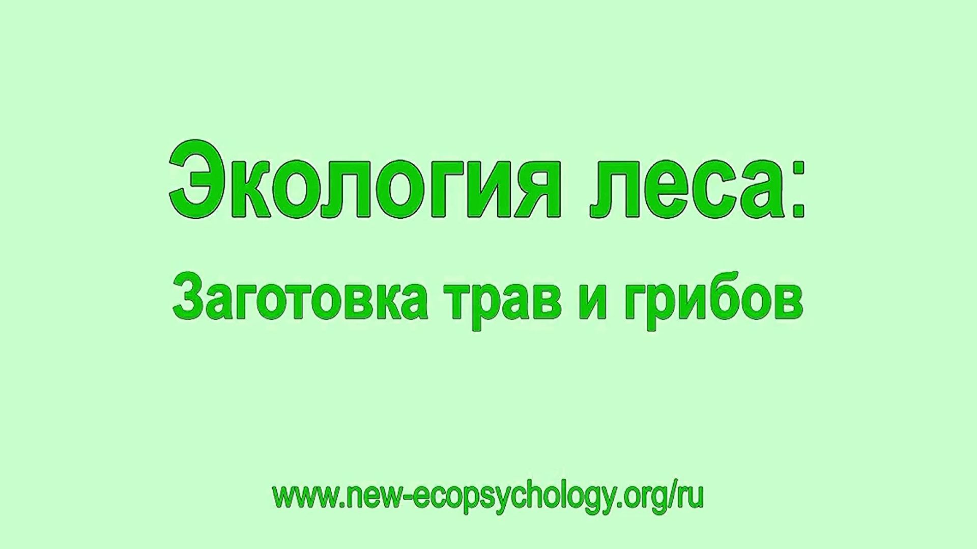 ЗАГОТОВКА ТРАВ И ГРИБОВ. Владимир Антонов. (Rem_2k)