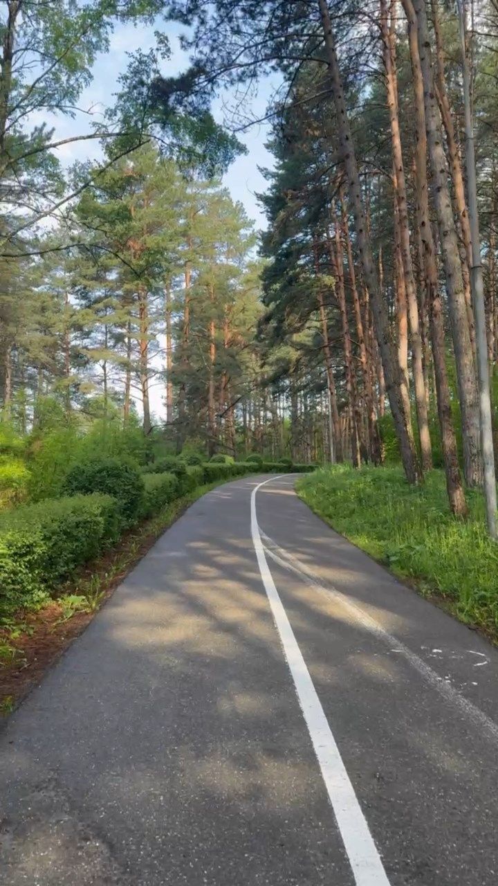 В объятиях соснового леса - наше утро в Кисловодском парке