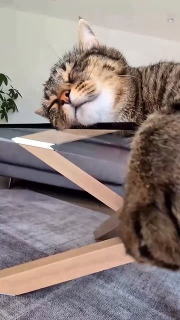 Суббота 😺