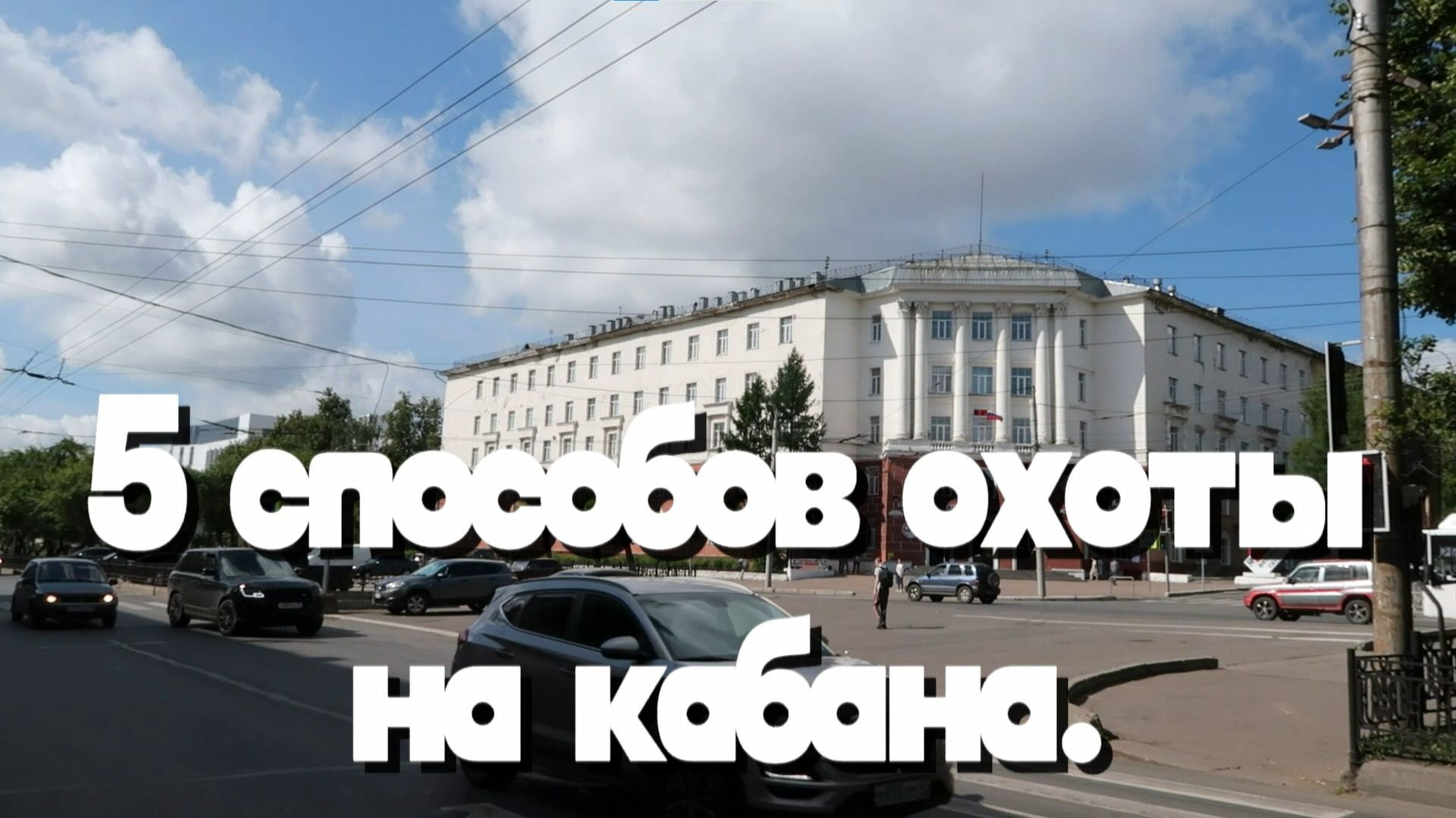 Пять способов охоты на кабана. Правила охоты