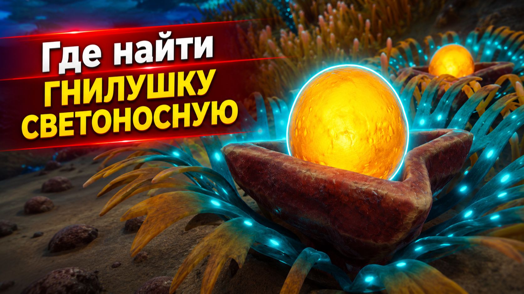 Где найти гнилушку светоносную в Subnautica 2