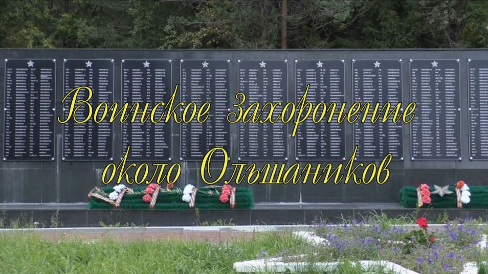 Прогулки вокруг поселка Певомайское 6. Воинское захоронение около Ольшаников