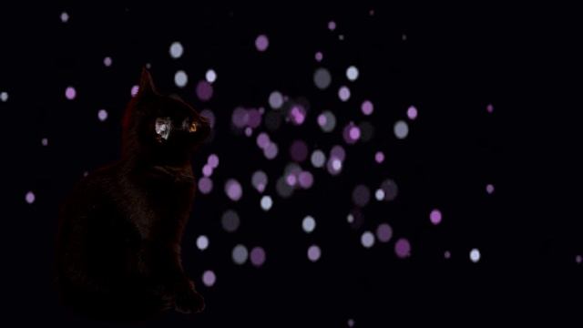 Поток движения