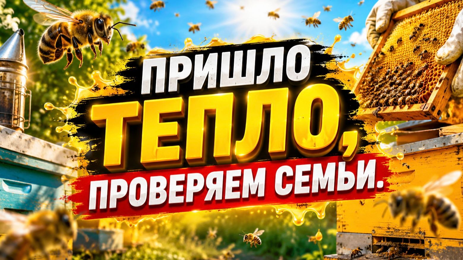 Пришло тепло, проверяем семьи