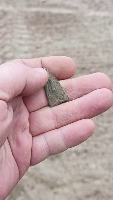 Интересная находка на распашке #shorts #metaldetecting #интересныенаходки #распашка #старина