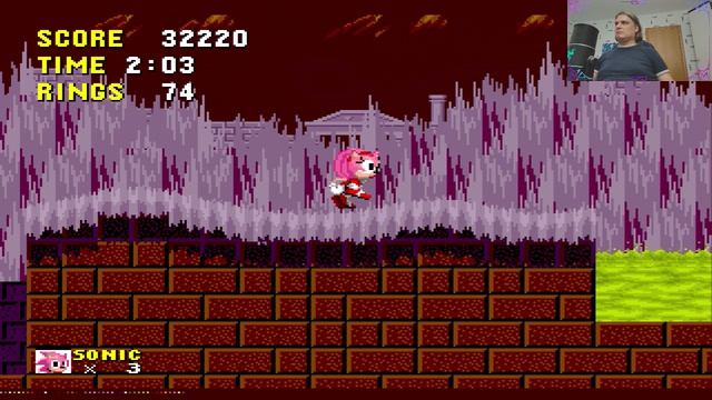 SEGA Amy Rose