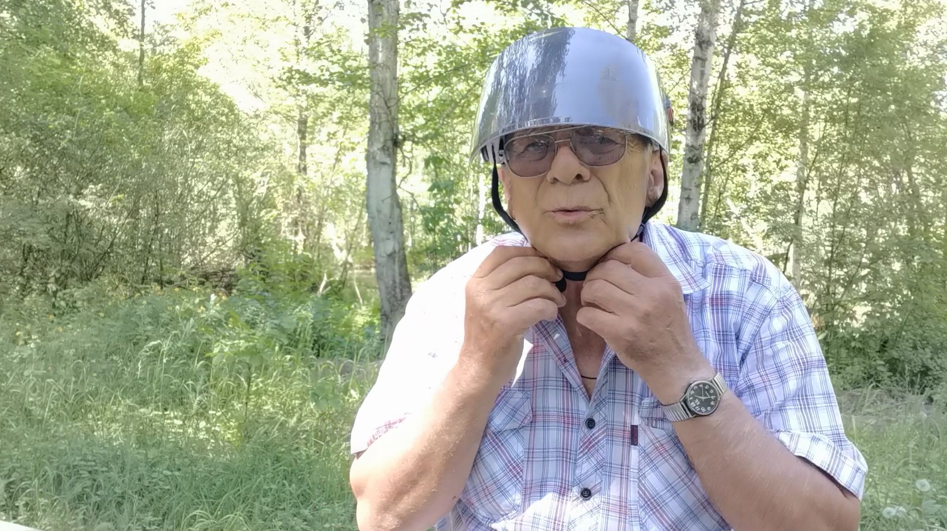 Чаадаевское лесничество.🌳🌲 🌳