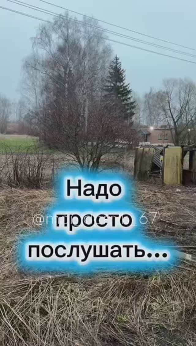 Надо просто послушать…