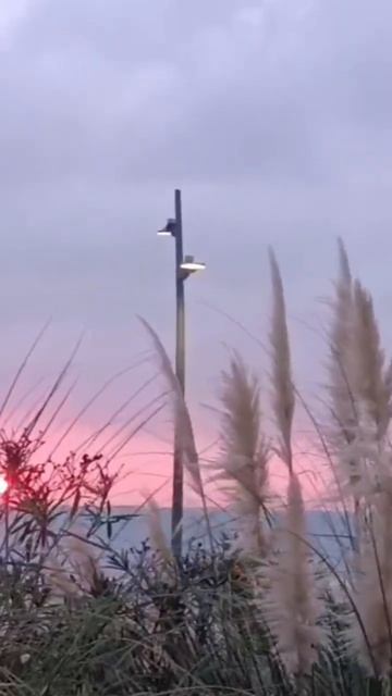 закат#ты нужен мне# море#