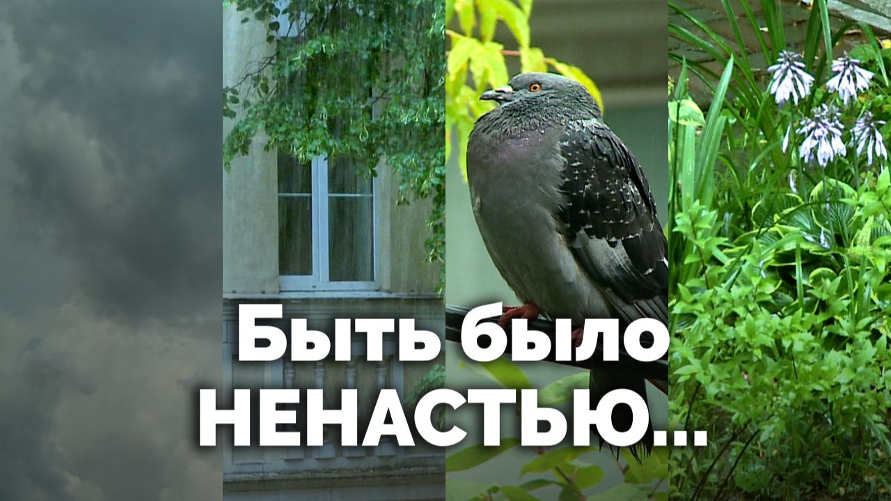 Быть было ненастью... | С любовью к русской природе