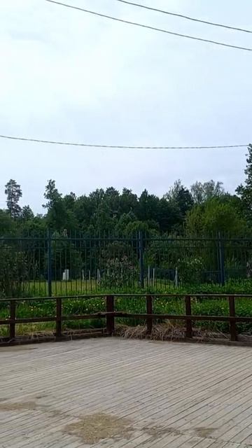 Скит патриарха Никона. Новый Иерусалим. 27 мая