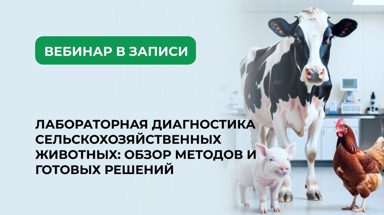 Современная лабораторная диагностика заболеваний с/х животных: обзор методов и готовых решений
