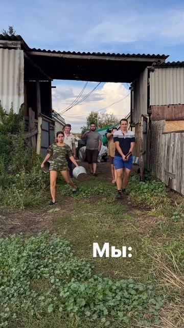 Когда соседи оказались шустрее😂