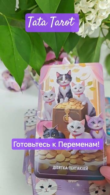 Что Обязательно изменится до конца месяца 😯 #таро #эзотерика #предсказание #tarot #онлайнтаро #таро