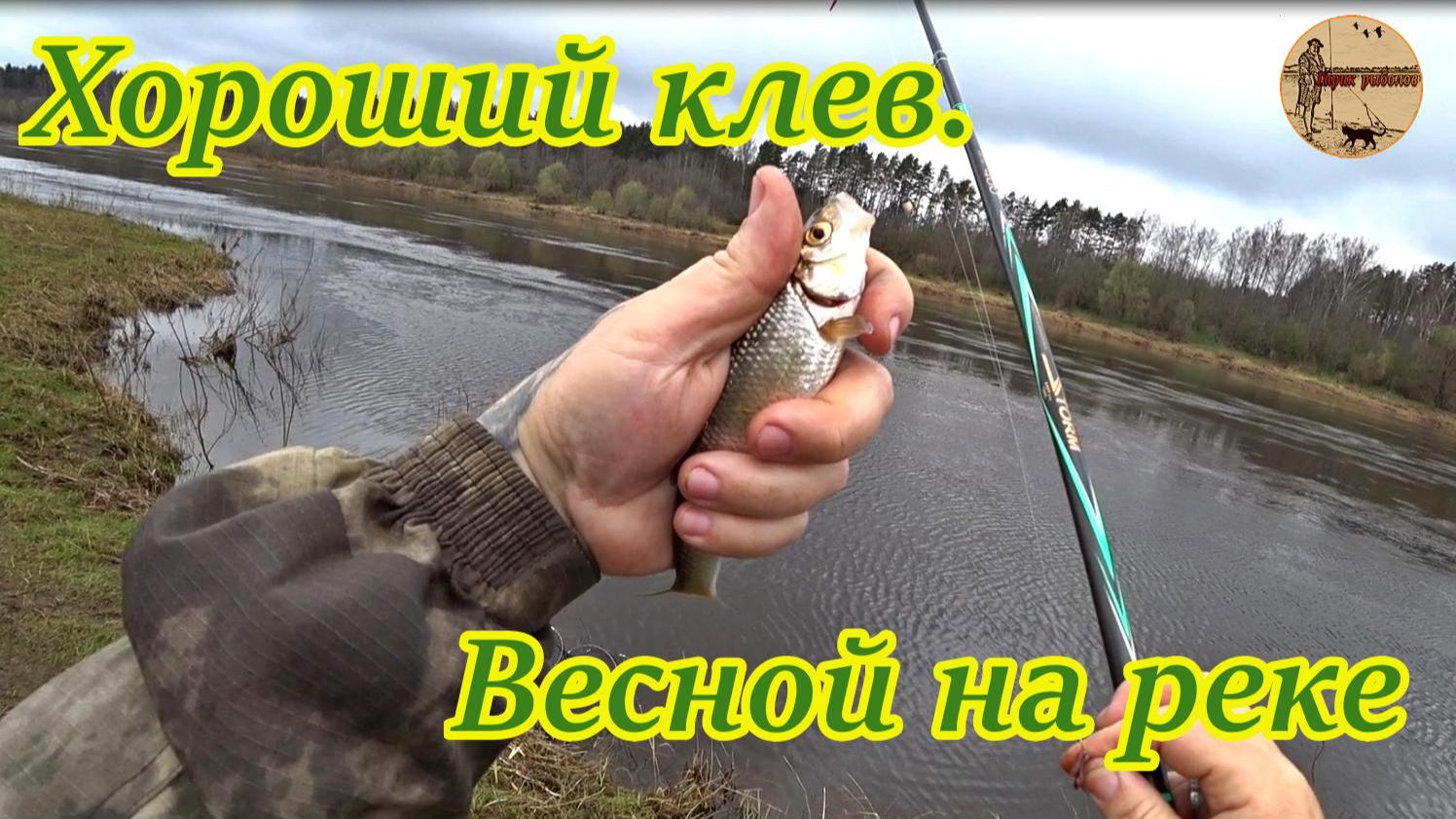 Рыбалка весной на реке с быстрым течением.#рыбалка ,#река ,#плотва ,#удочка ,#донка ,#оснастка ,