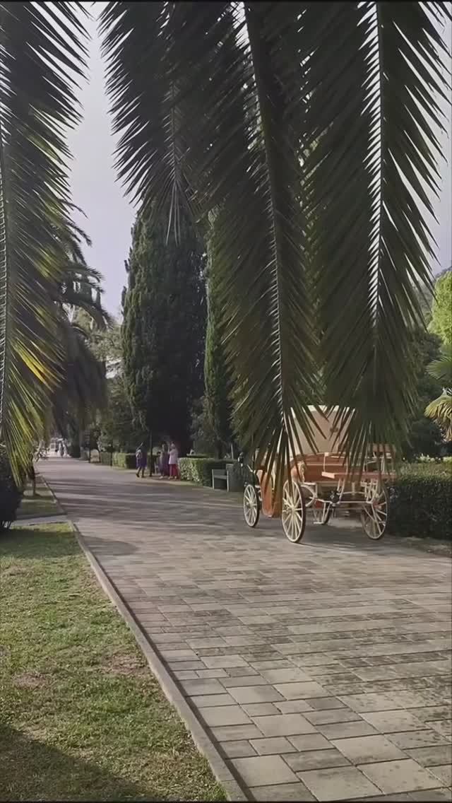 Гагра, дождь ☔️