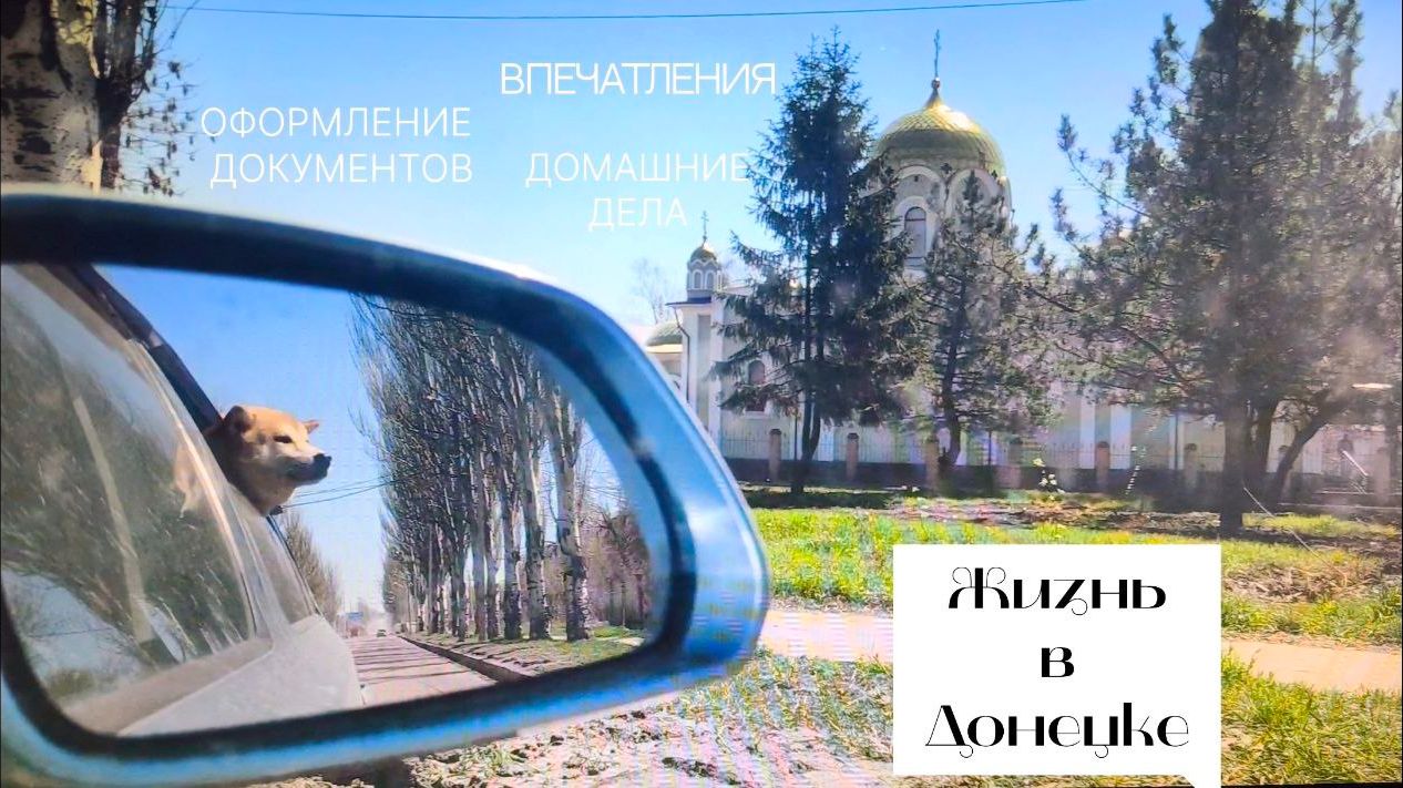 Жизнь в Донецке: оформление документов, домашние дела, впечатления от происходящего