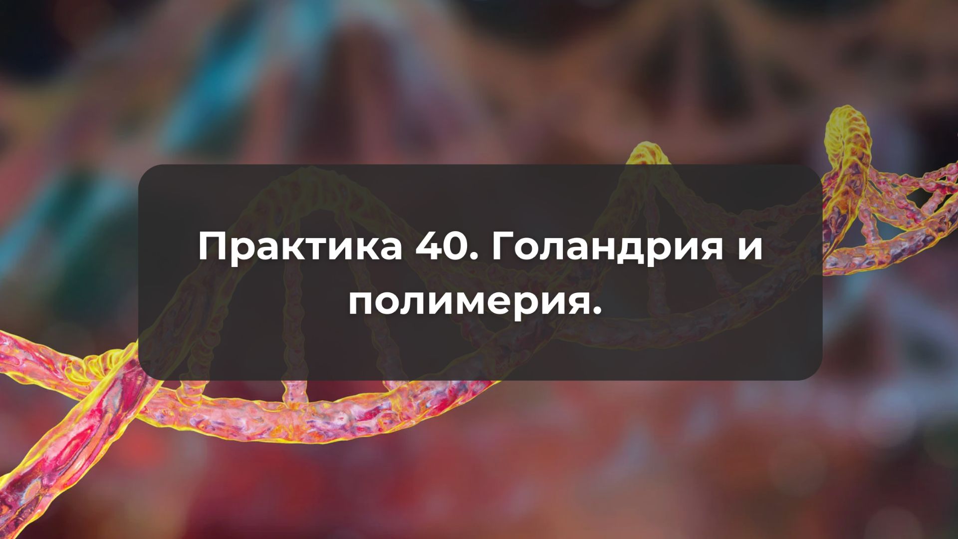 Практика 40. Голандрия и полимерия