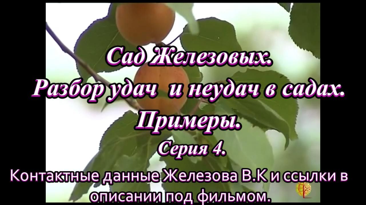 Сад Железовых. Разбор удач  и неудач в садах. Примеры. Серия 4.