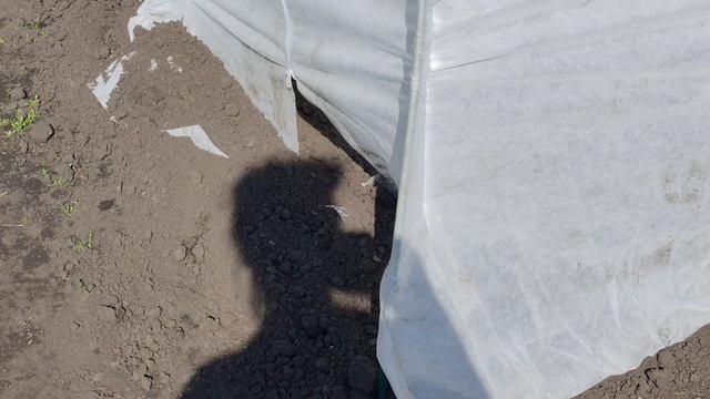 Мой первый огородный день, пришла жара, я довольная 😊 😊 😊