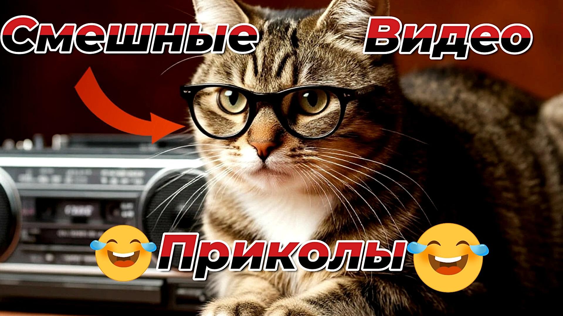 Смешные животные 2026-Коты и собаки поржали до слёз🐕🐕😂